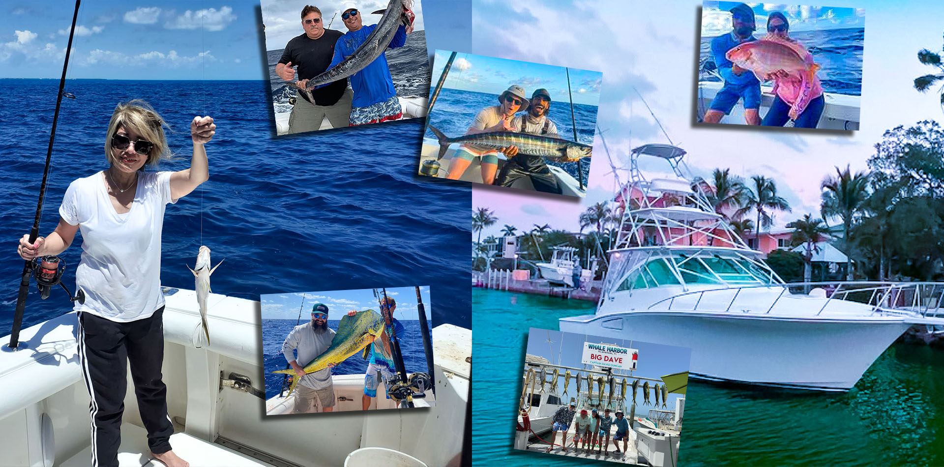 Fishing Charters, Boat Tours & Vacation Rentals in Islamorada, FL
